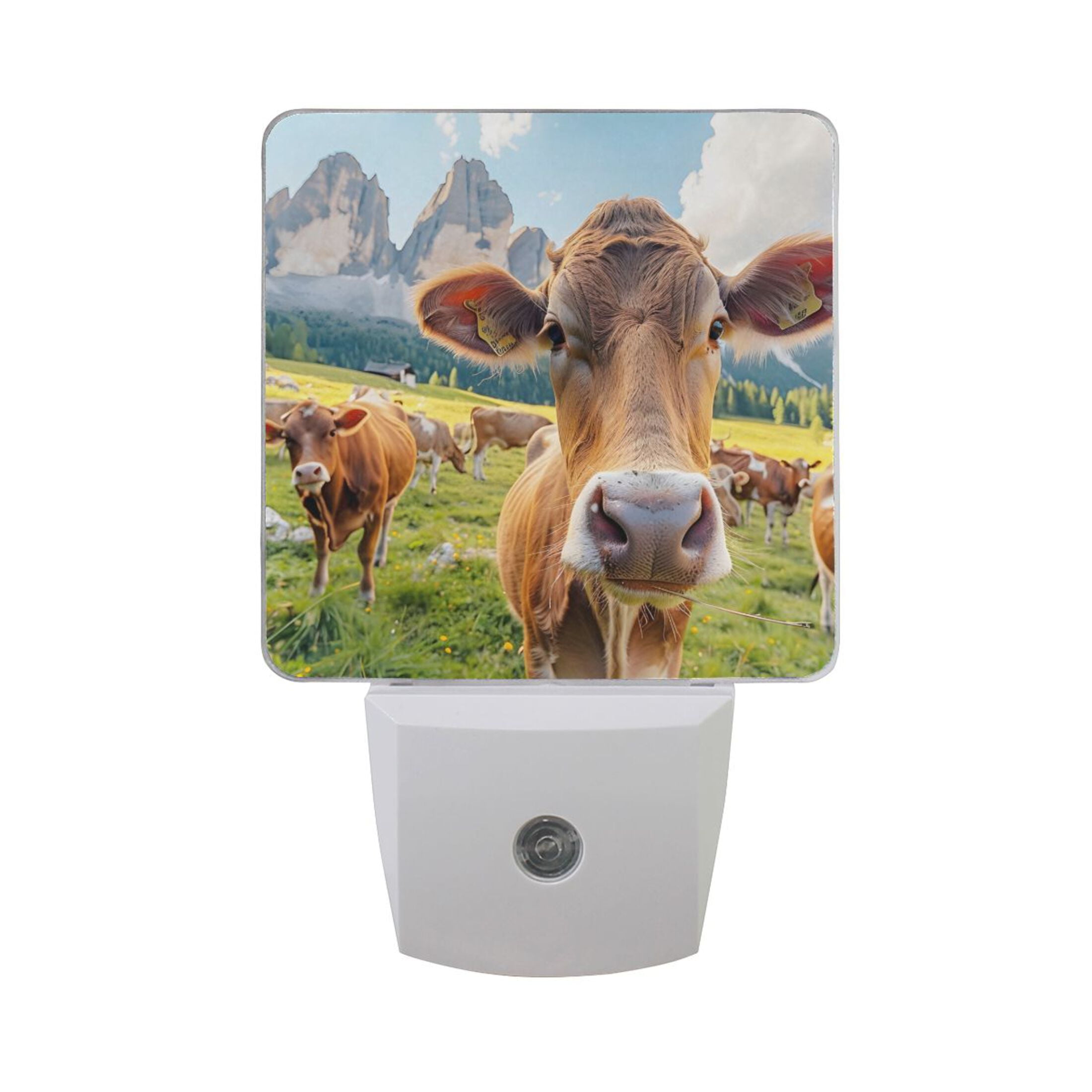 Cows Cattle Hang Out Night Light 2 Pack LED Nightlight Plug into Wall ...
