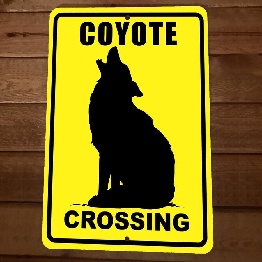 Coyote Crossing metal aluminium Wall Sign Animal Poster (12 x 16 inch ...