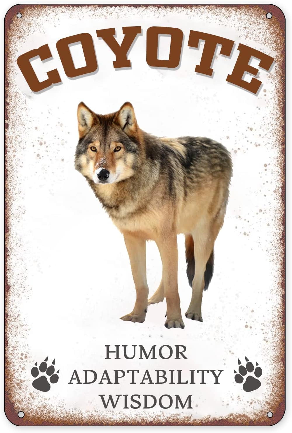 Coyote Humor Adaptability Wisdom Funny Retro Cartoons Metal Tin Sign ...