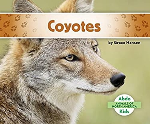 Pre-Owned Coyotes (Library Binding) 9781680801095 - Walmart.com