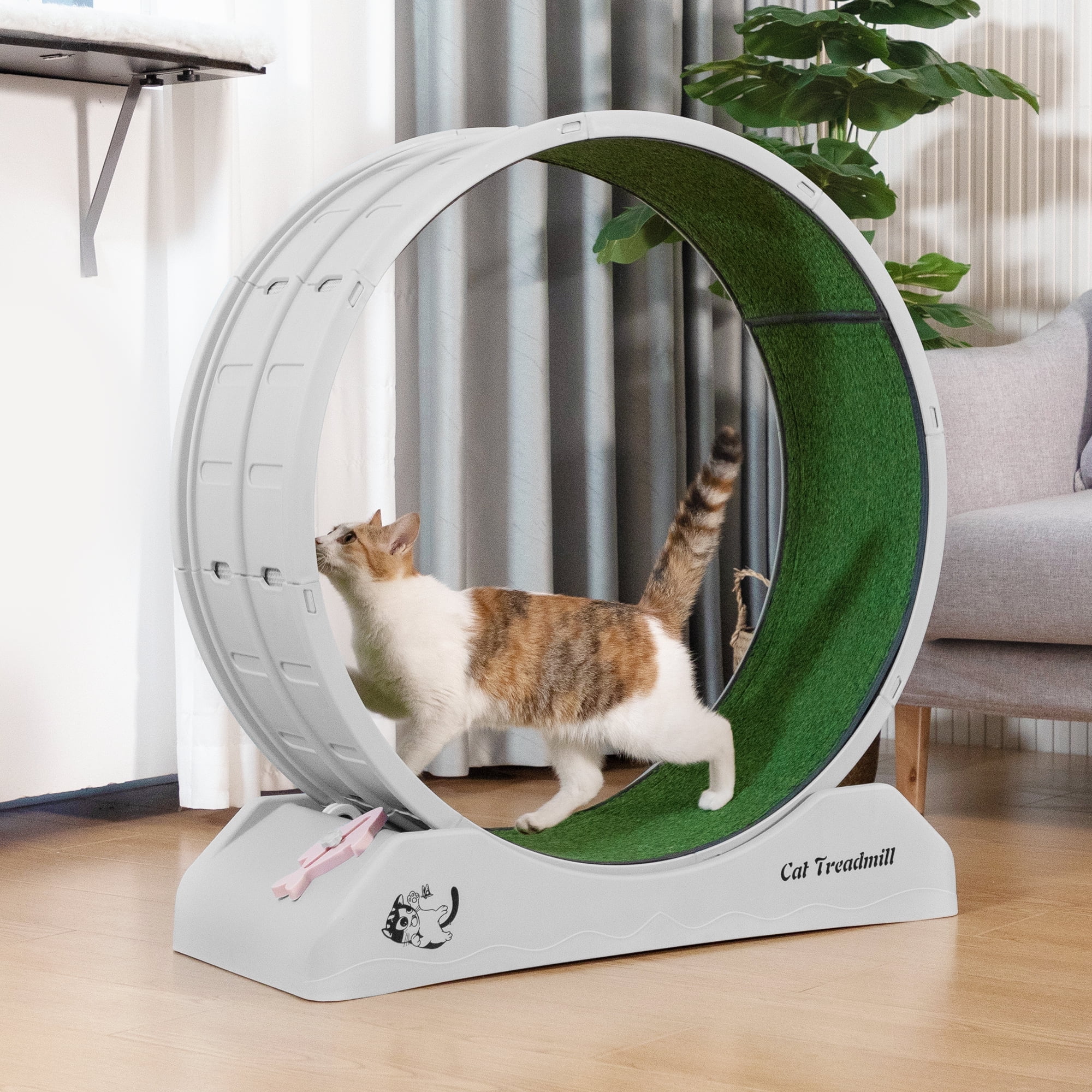 Coziwow 31.5" Cat Treadmill, Exercise Running Wheel with Nonslip Carpet ...