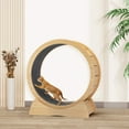 Coziwow Cat Exercise Wheel, Silent Running Round Treadmill for Weight ...
