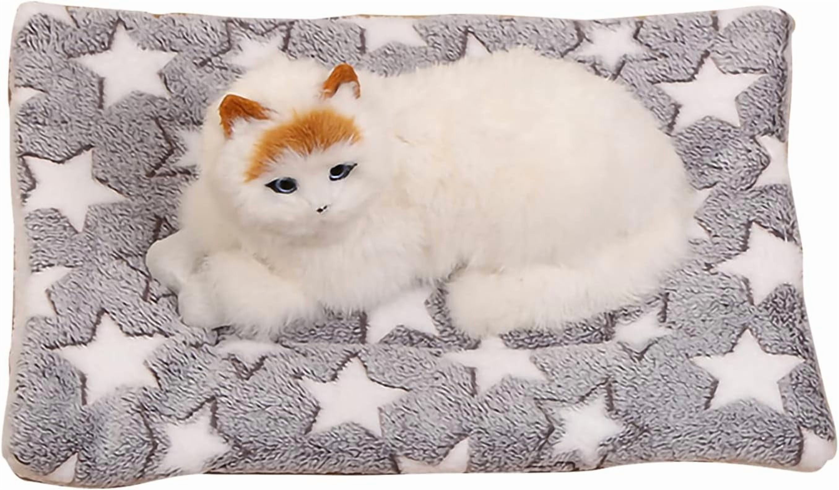 Cozy Cat Blanket for Anxiety and Stress, Calming Blanket - Walmart.com