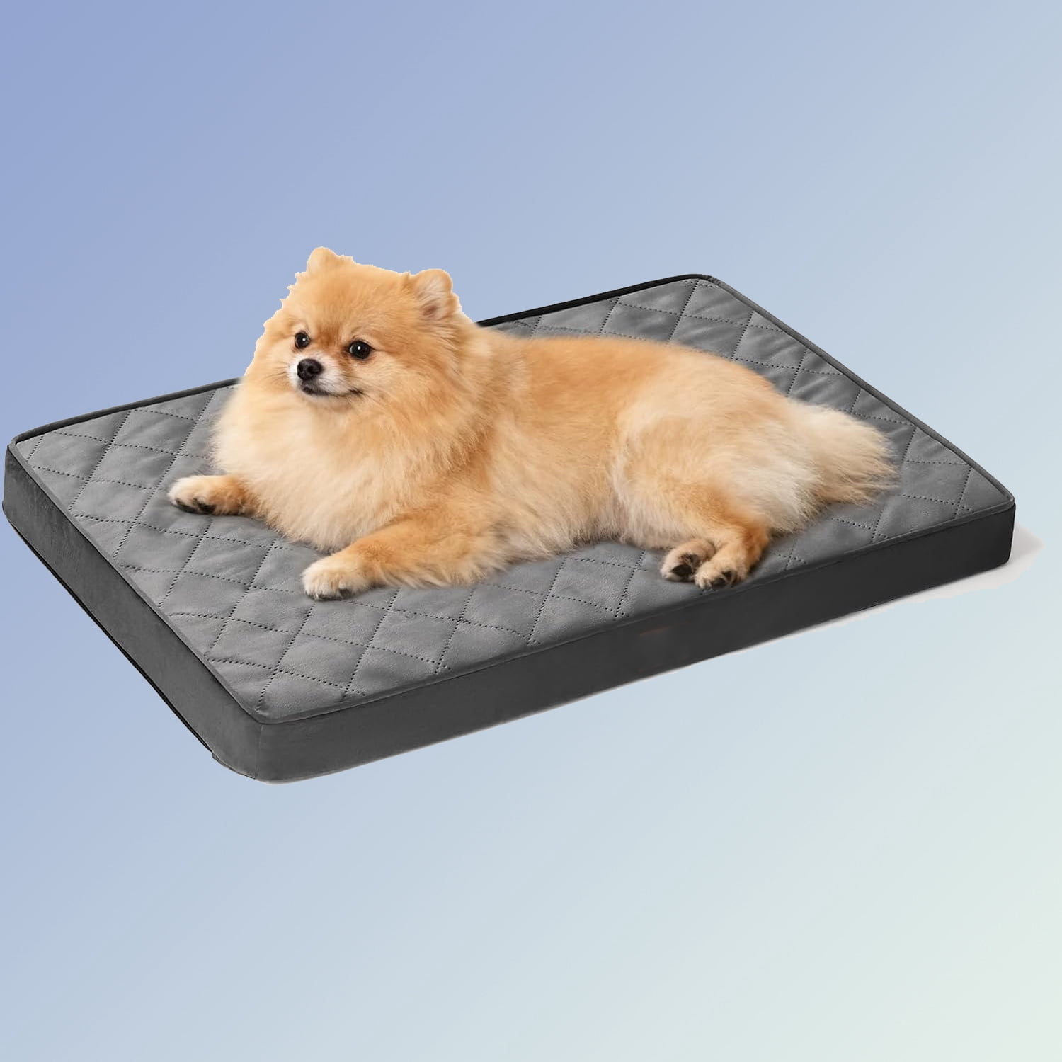 Cozy Dog Bed - Orthopedic Egg Crate Foam Pet Bed with Removable ...