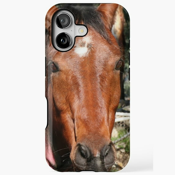 Cozy Horse in Winter Blanket Graphic Phone Case with iPhone 17 to 11 ...