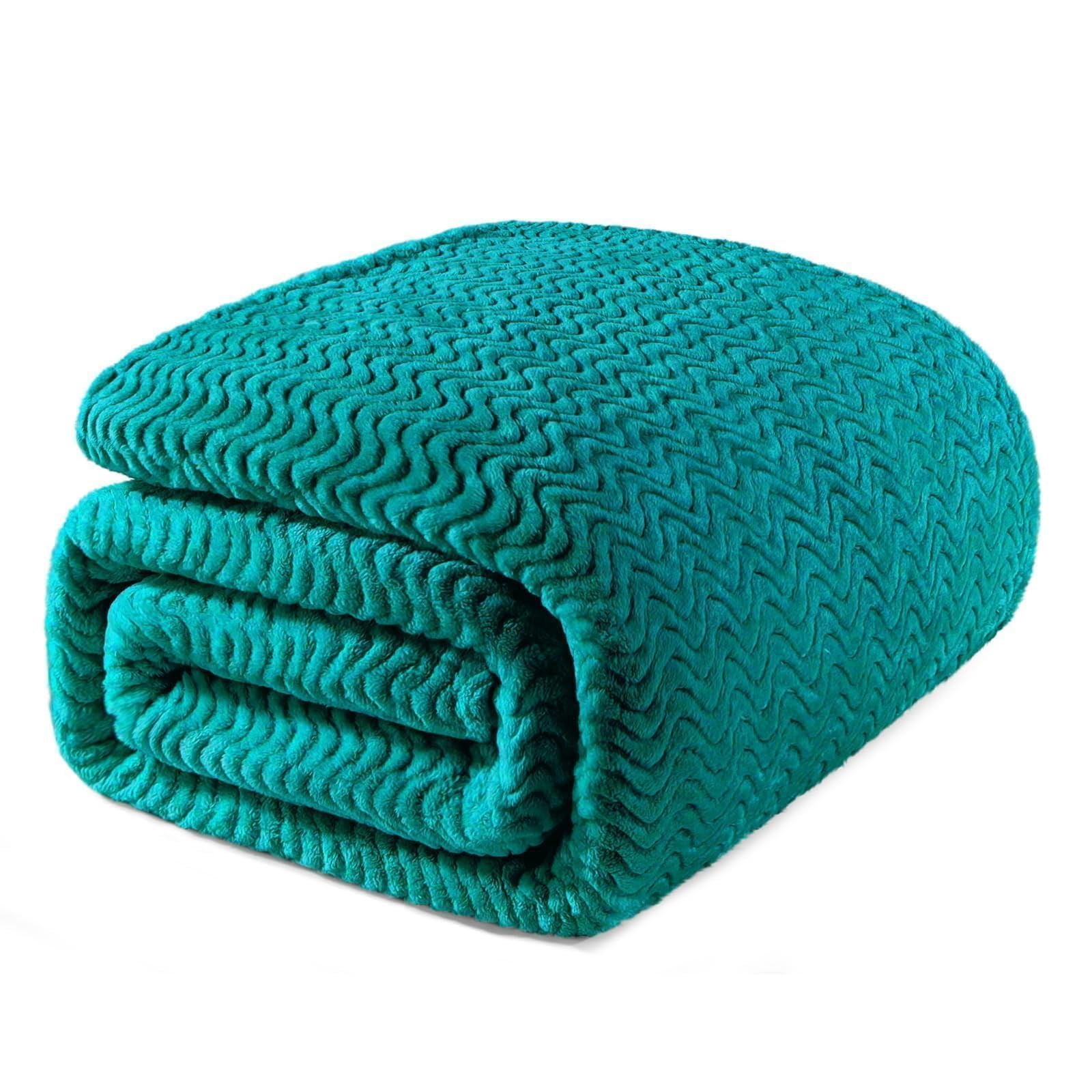 Cozy Lightweight Fleece Throw Blanket for Couch, All Season Soft Plush ...