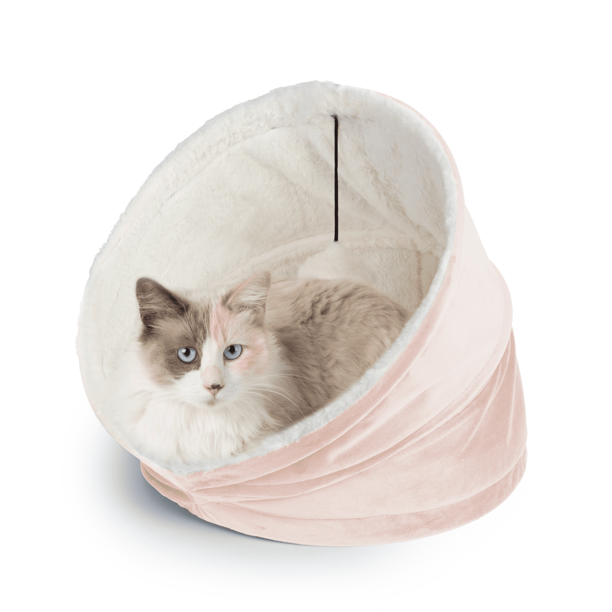 Cozy cat house by Sherry Kline pet collection available in 5 colors of ...
