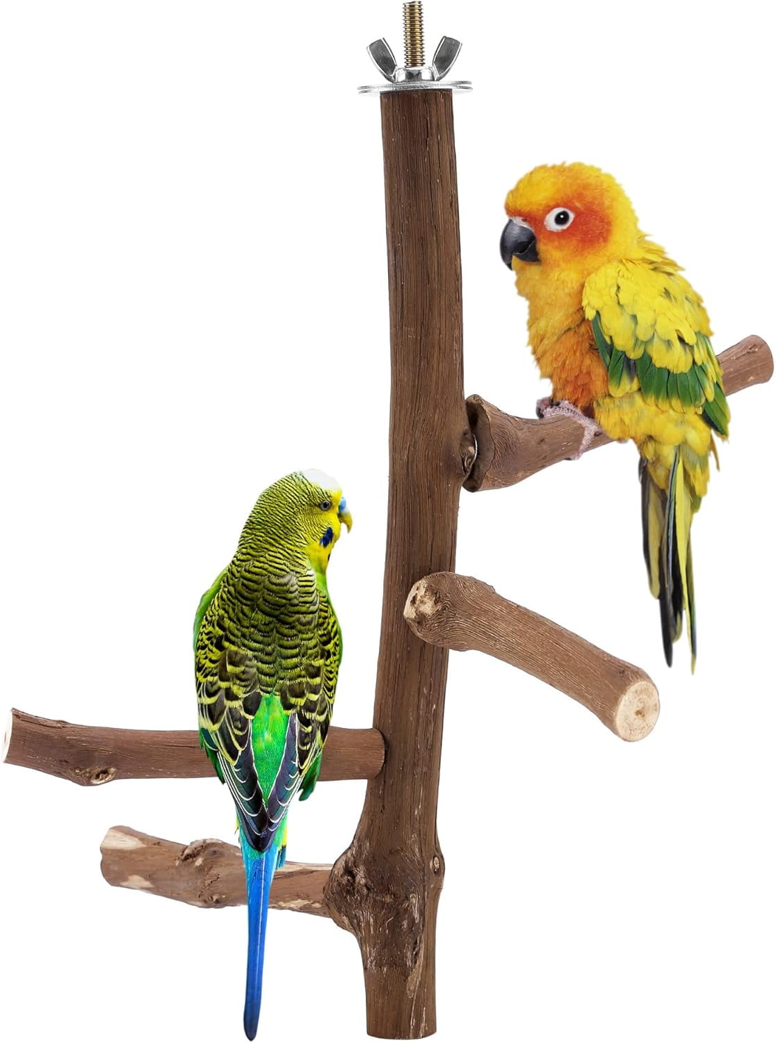 CozyCabin Natural Bird Perch Stand for Cage, Hanging Multi Branch ...
