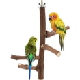 CozyCabin Natural Bird Perch Stand for Cage, Hanging Multi Branch ...