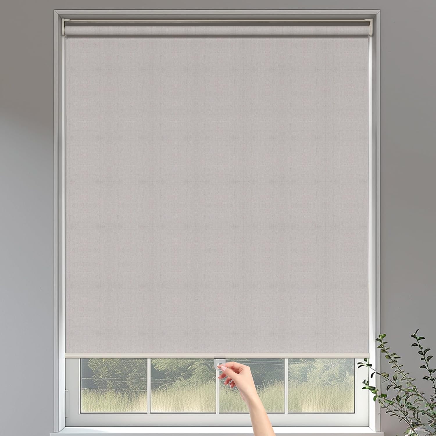CozyHom 100% Blackout Roller Window Shades, Free-Stop Pull Down Shades ...
