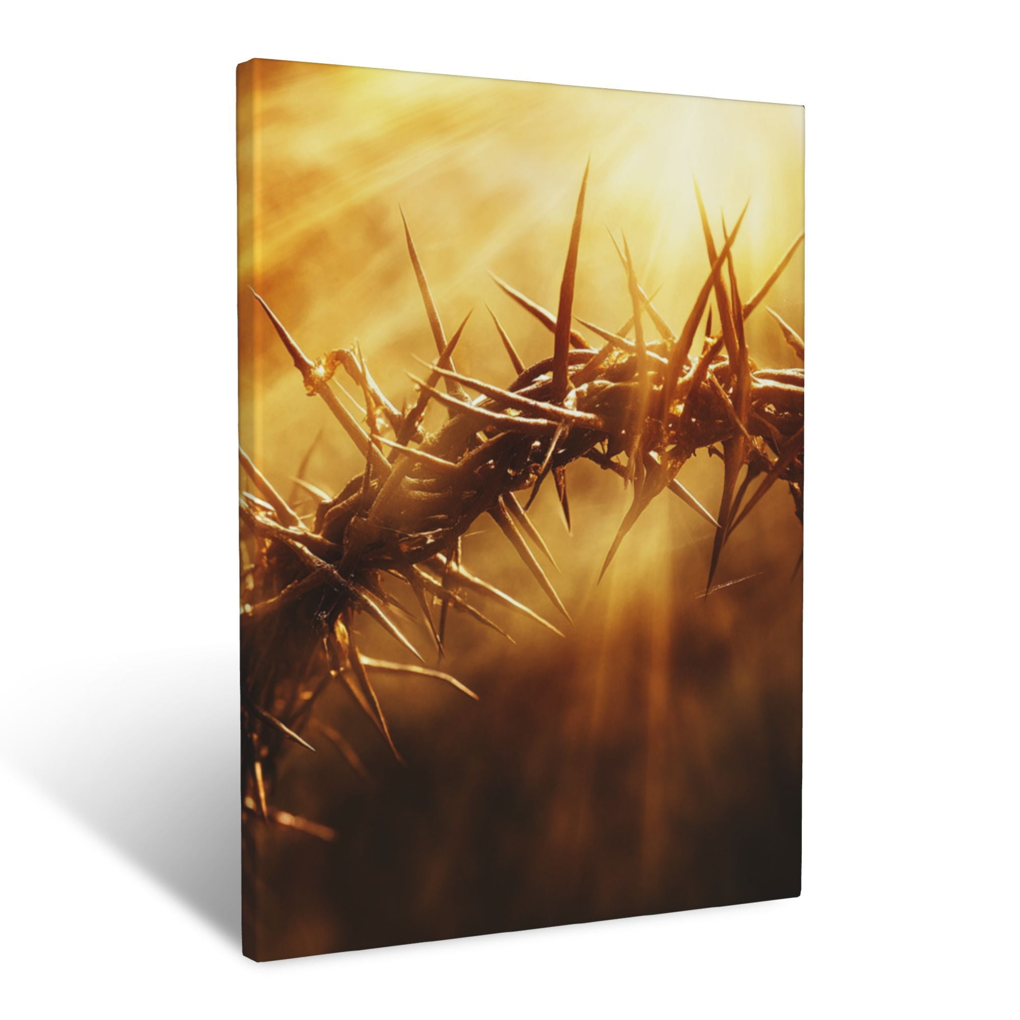 CozyNet A Crown Of Thorns Glowing In Soft, Divine Light & Golden Rays ...