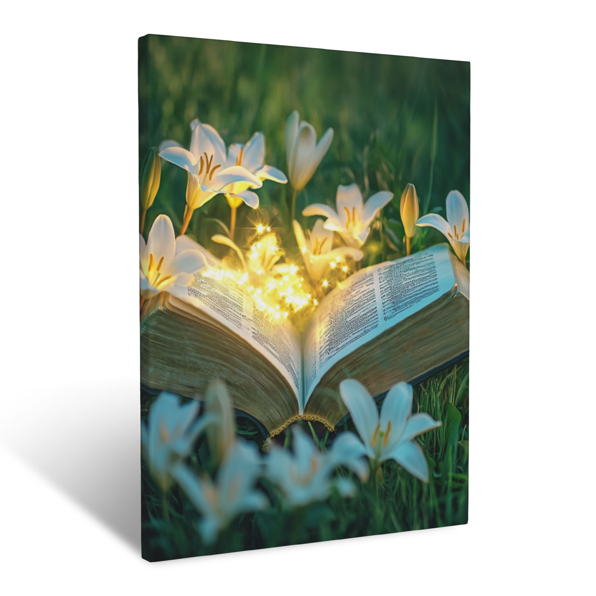 CozyNet A Glowing Bible Surrounded By Lilies In A Peaceful Green Meadow ...
