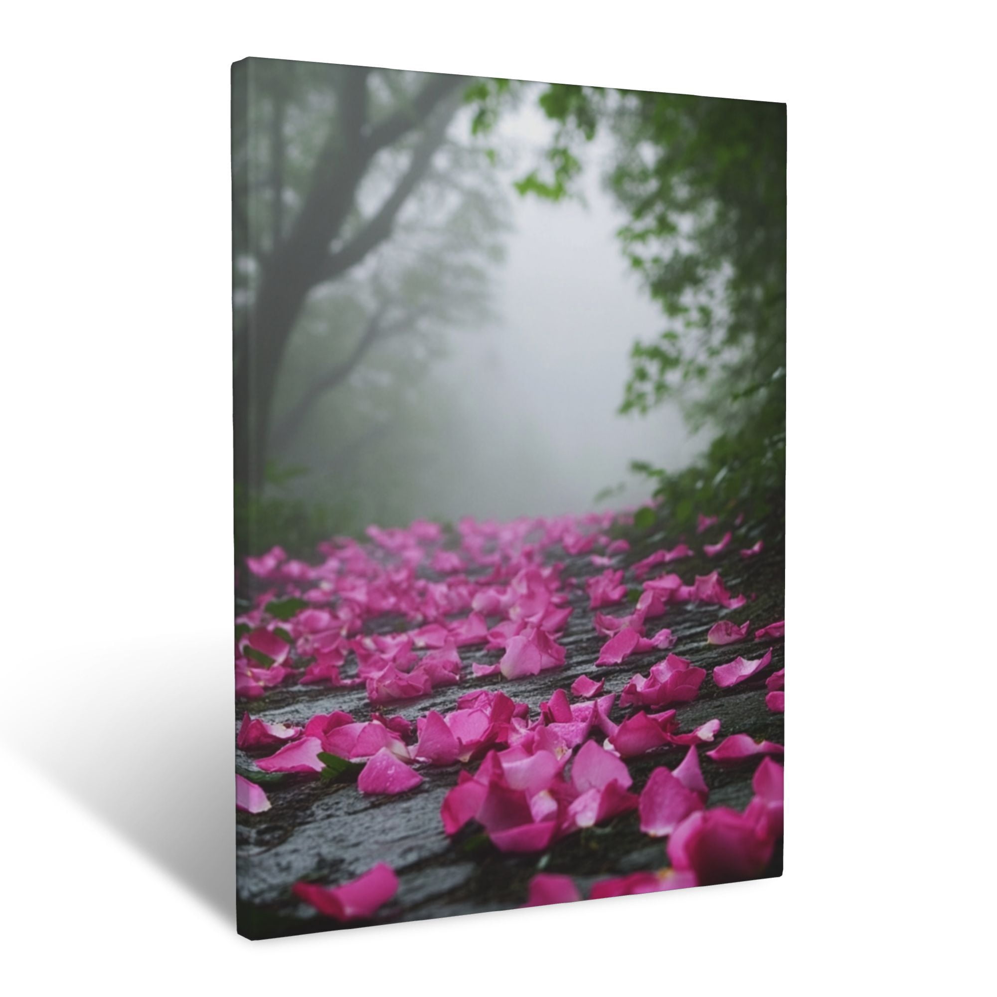CozyNet Delicate Rose Petals Scattered Across A Serene Forest Path With ...
