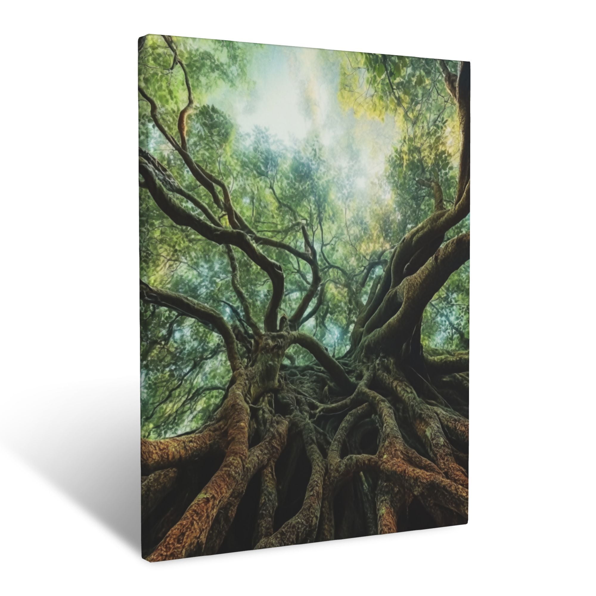 CozyNet Dramatic Forest Canopy Shot With Layered Trees, Vines ...