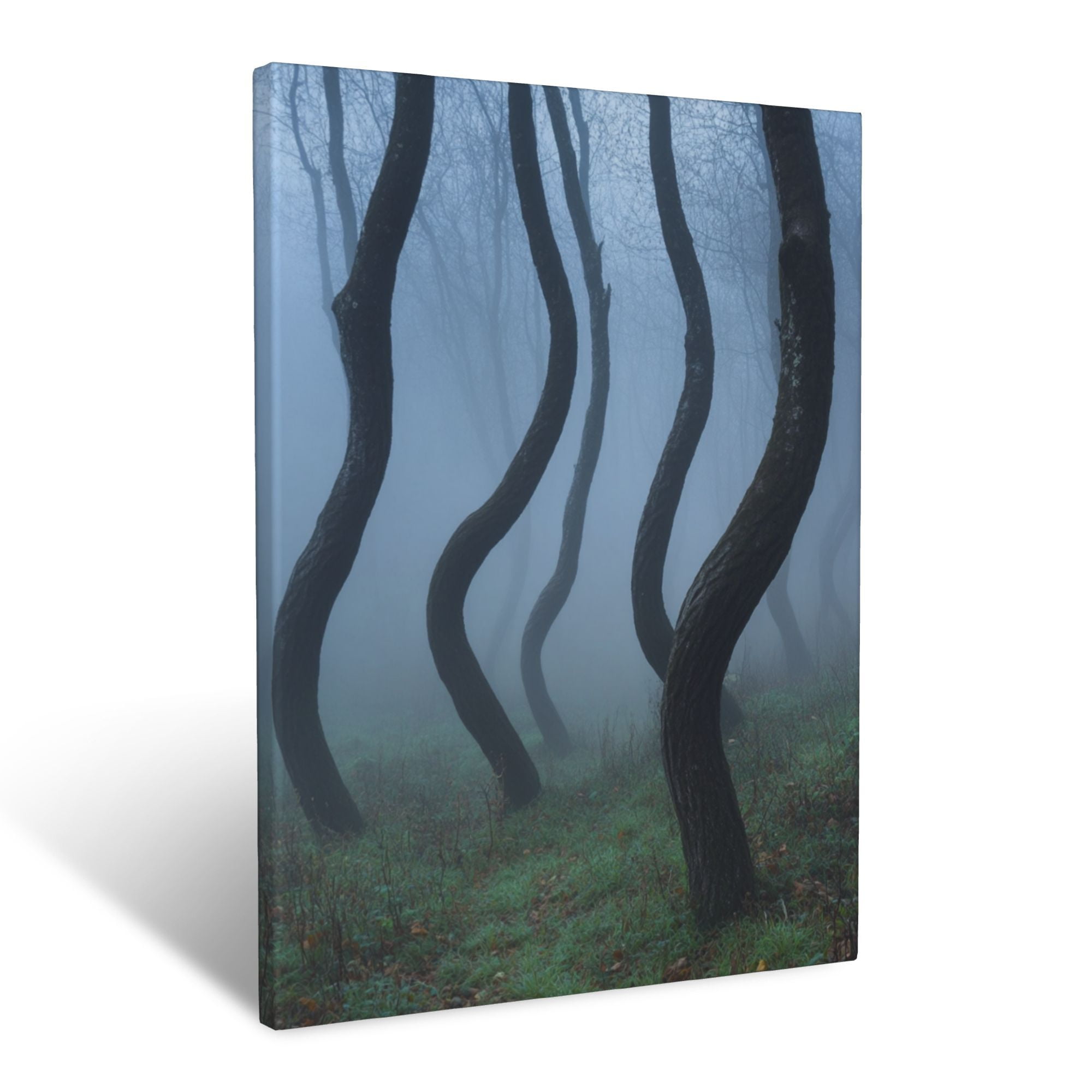 CozyNet Eerie Foggy Forest With Twisted Trees & Overgrown Wild Plants ...