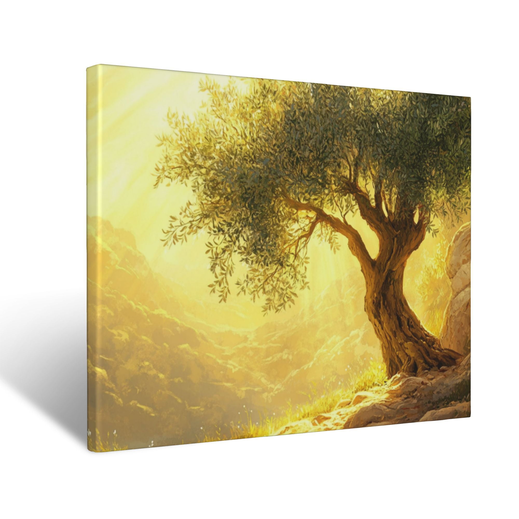 CozyNet Glowing Olive Tree Glowing With Radiant Sunlight In A Peaceful ...