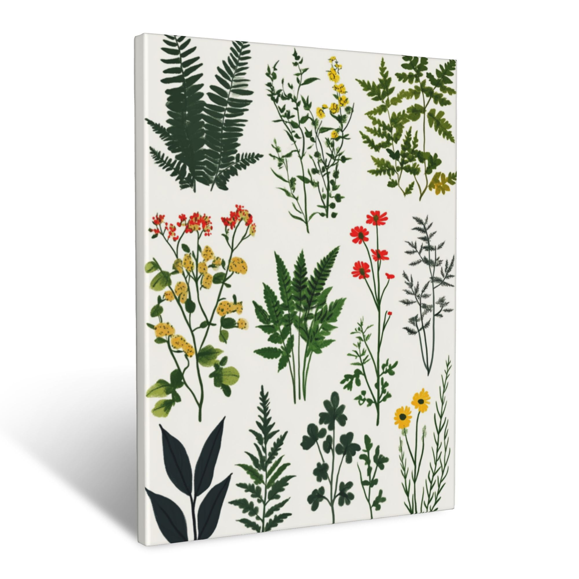 CozyNet Hand Drawn Array Of Forest Plants Including Ferns, Mosses ...