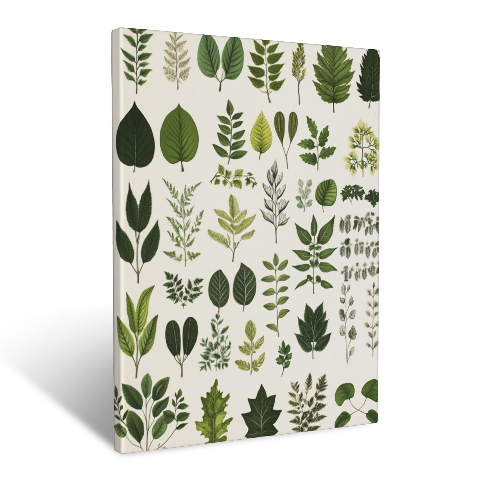 CozyNet Hand Drawn Botanical Chart Of Diverse Plant Species With ...