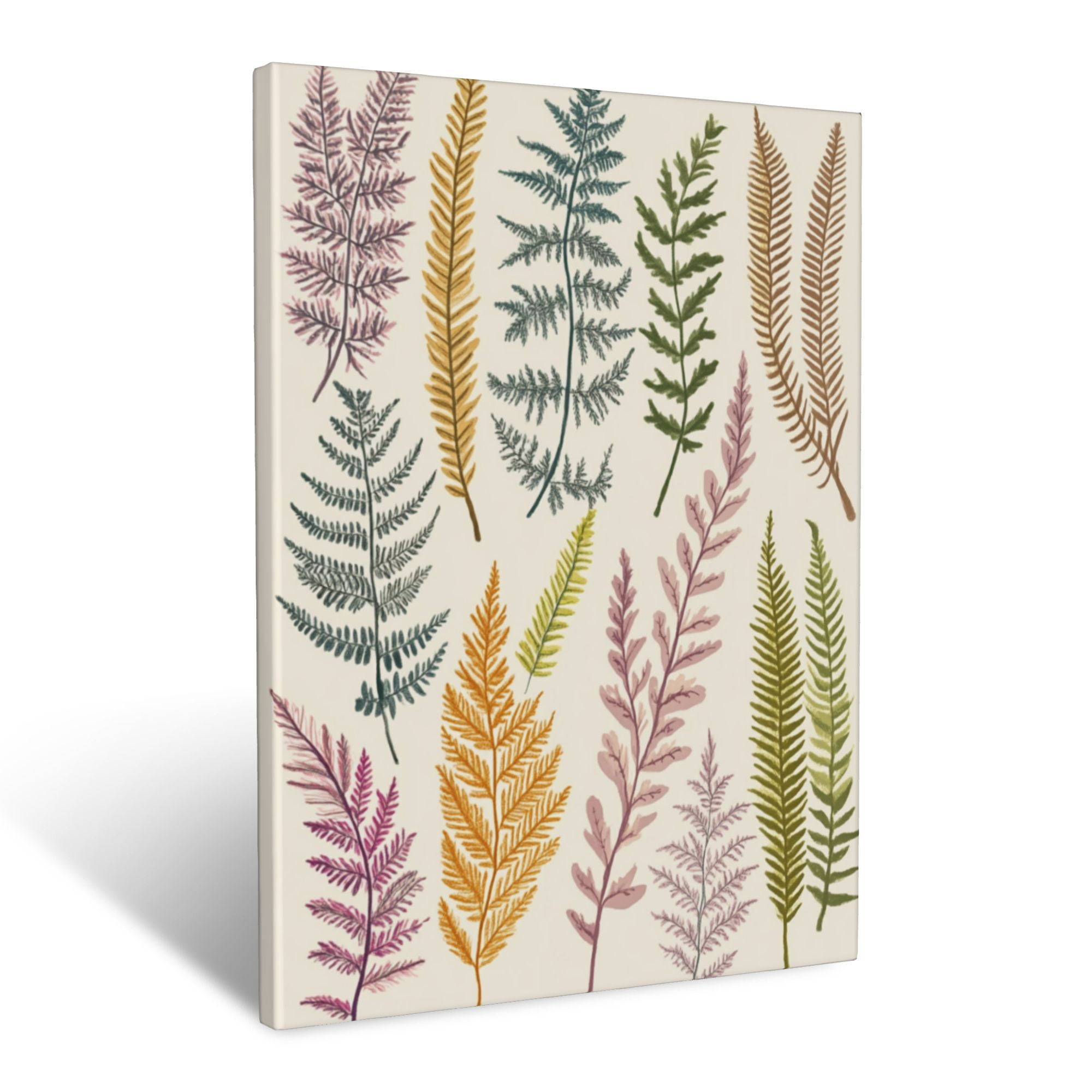 CozyNet Hand Drawn Botanical Chart Of Fern Species With Intricate ...