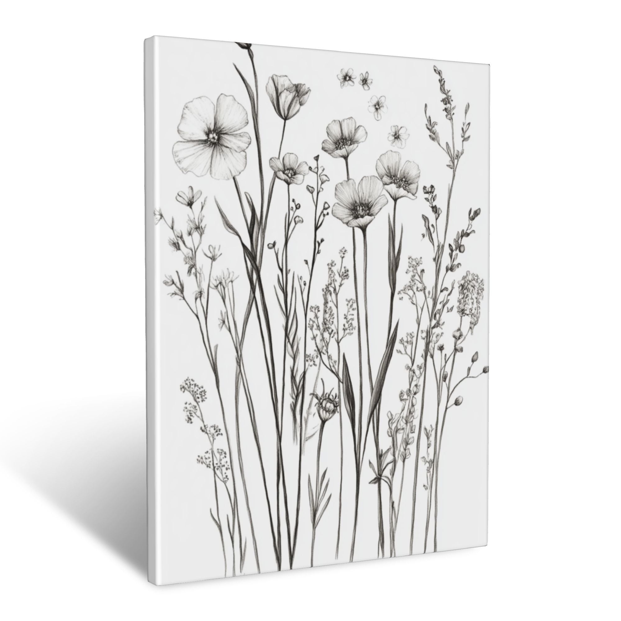 CozyNet Hand Drawn Collection Of Wild Meadow Flowers, Curling Stems ...