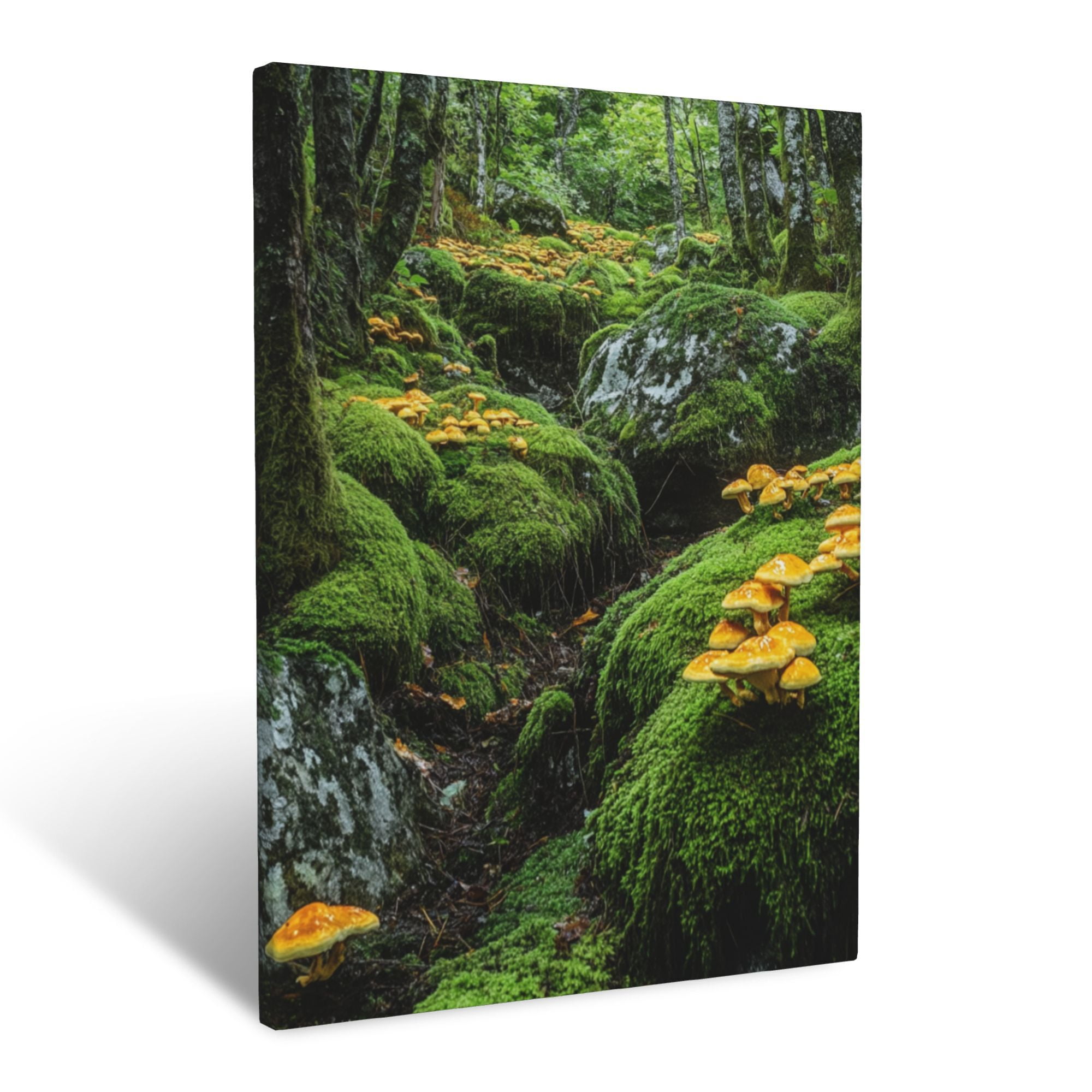 CozyNet Hidden Forest Cove Filled With Moss Covered Rocks, Radiant ...