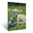 CozyNet Lamb Lying Peacefully In Green Pastures, Sunlight Casting Soft ...