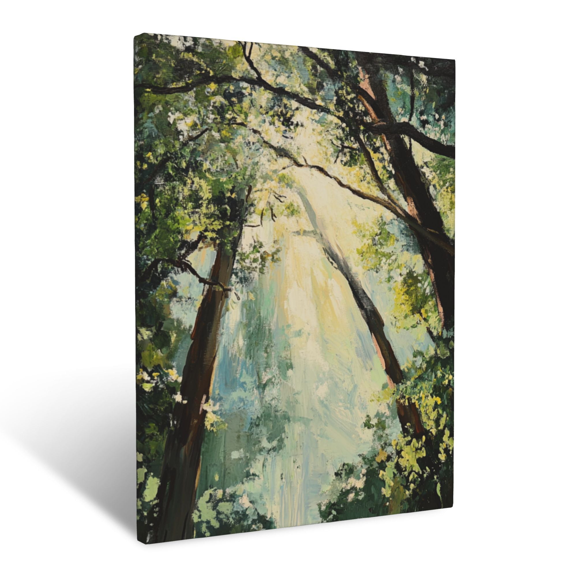CozyNet Majestic Redwood Canopy View With Sunlight Streaming Through ...