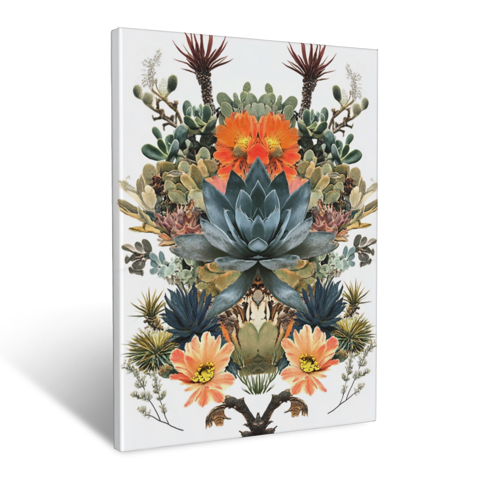 CozyNet Symmetrical Composition Of Succulents, Cacti, And Wild Desert ...