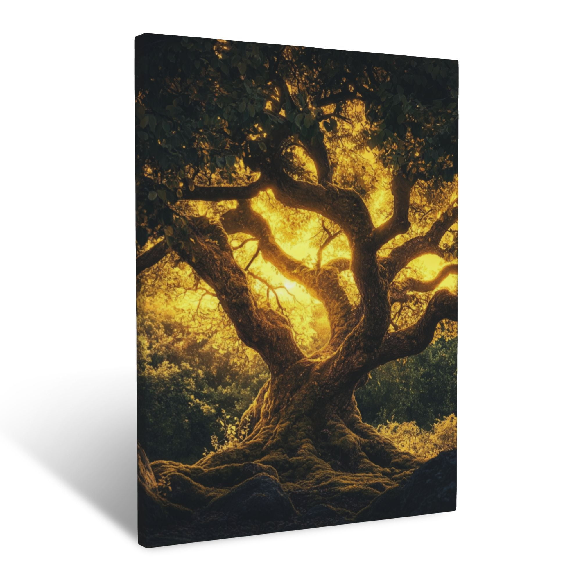 CozyNet The Parable Of The Fig Tree Glowing Branches & Biblical Meaning ...