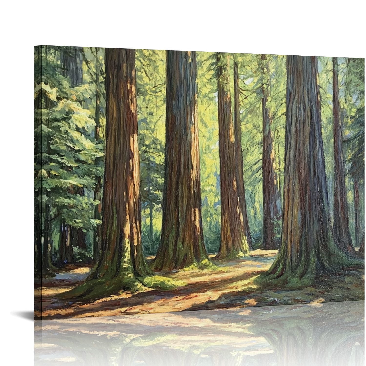CozyNet Towering Redwood Trees Bathed in Dappled Sunlight & Moss ...