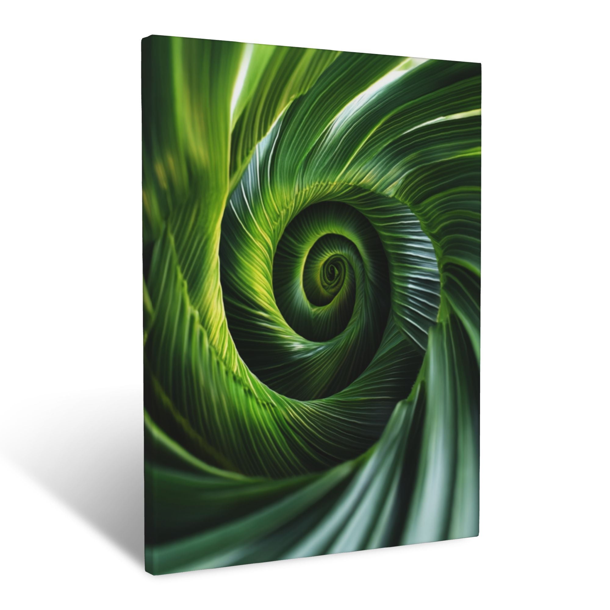 CozyNet Unique Spiral Of Tropical Palm Leaves With Rich Textures ...