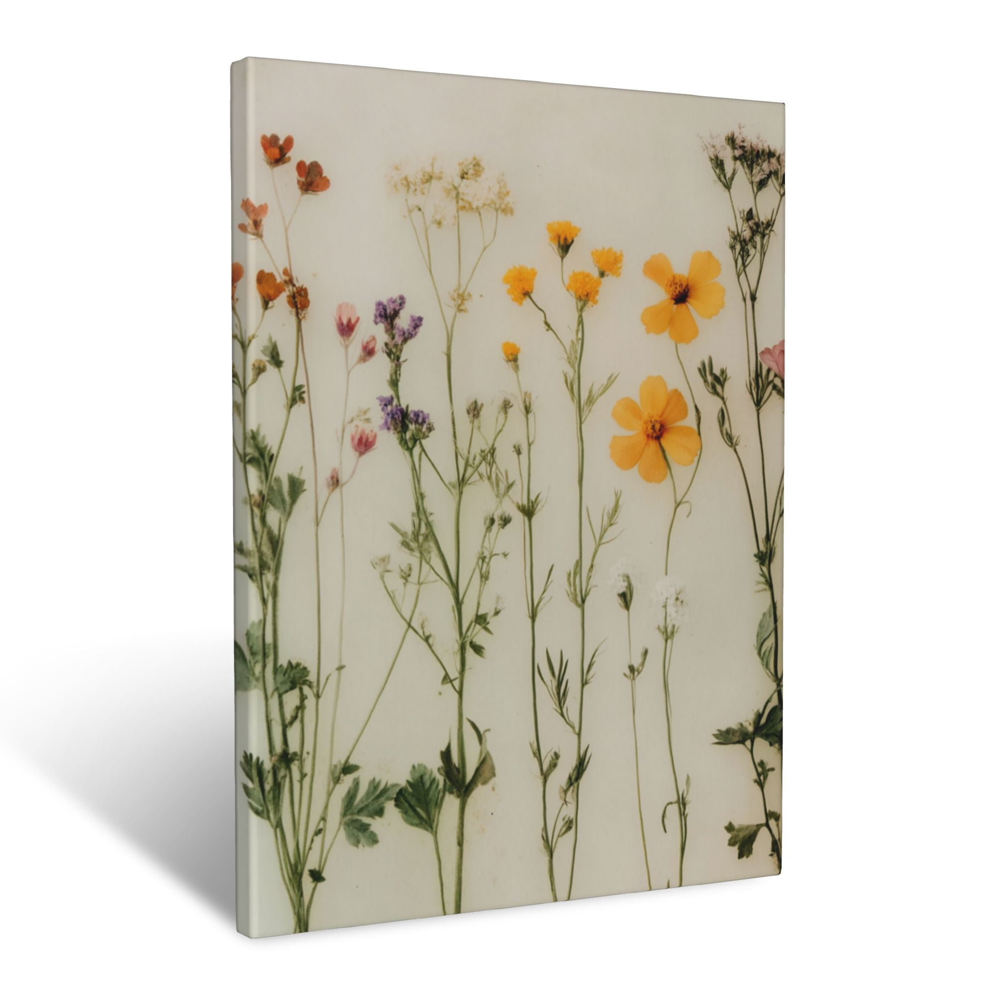 CozyNet Vintage Herbarium Collection Of Preserved Wildflower Specimens ...
