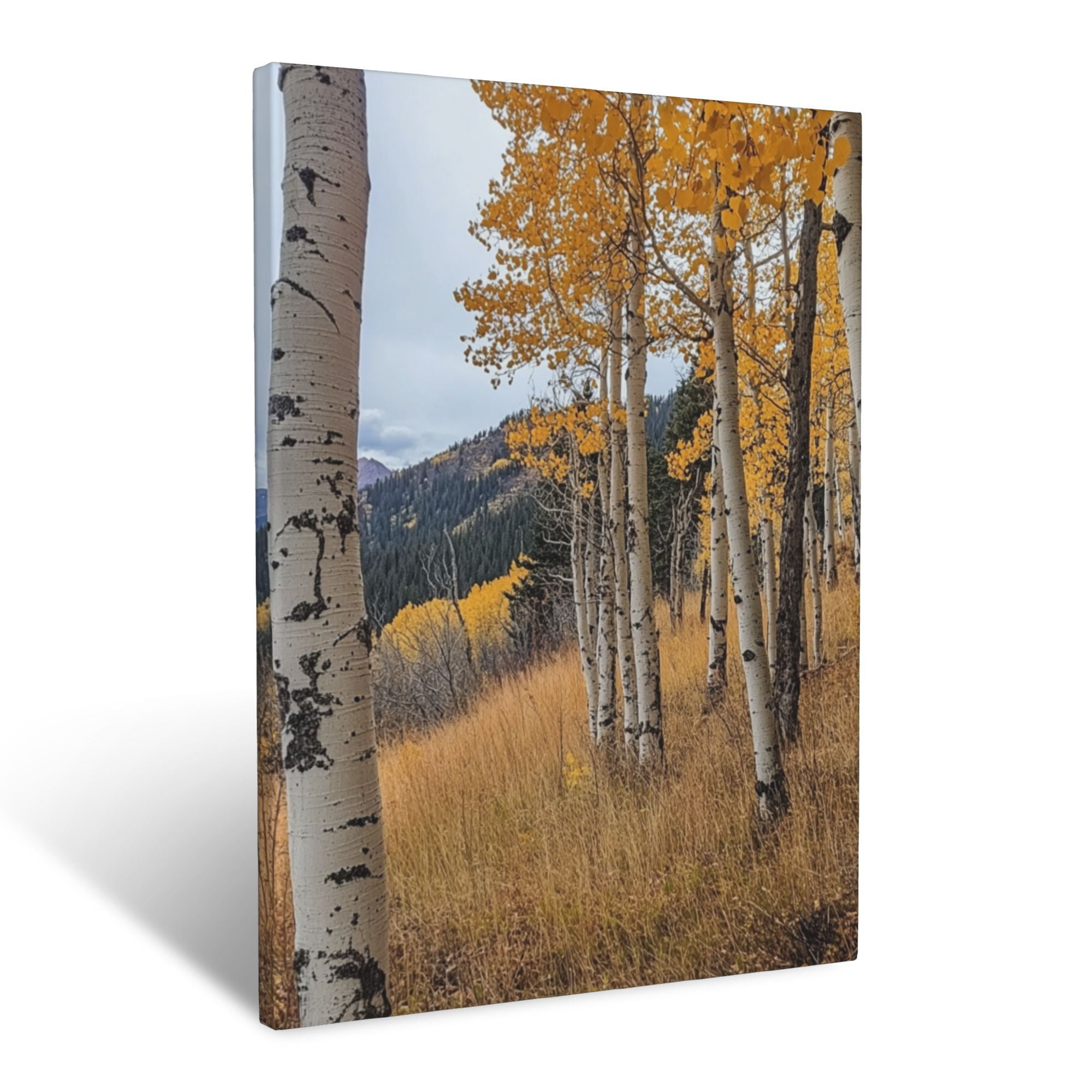 CozyNet Whispering Grove Of Aspen Trees With Golden Leaves Wall Art ...