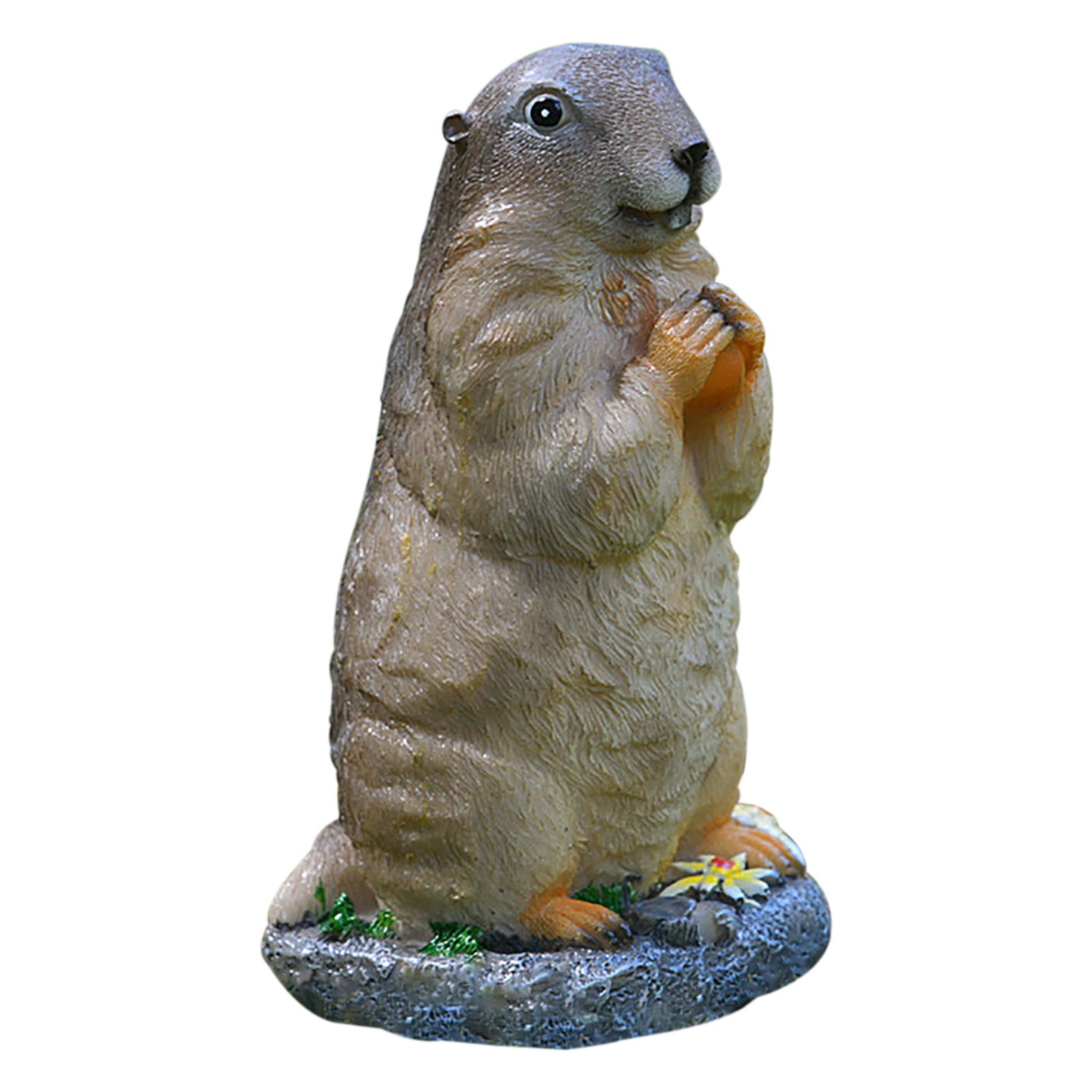 CozyQx Home Decor Living Room Meerkat, Meerkat, Earth Squirrel ...