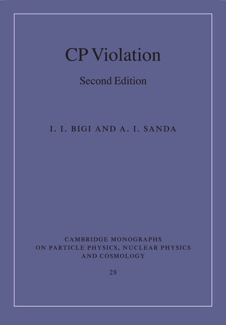 Cp Violation, (Paperback) - Walmart.com