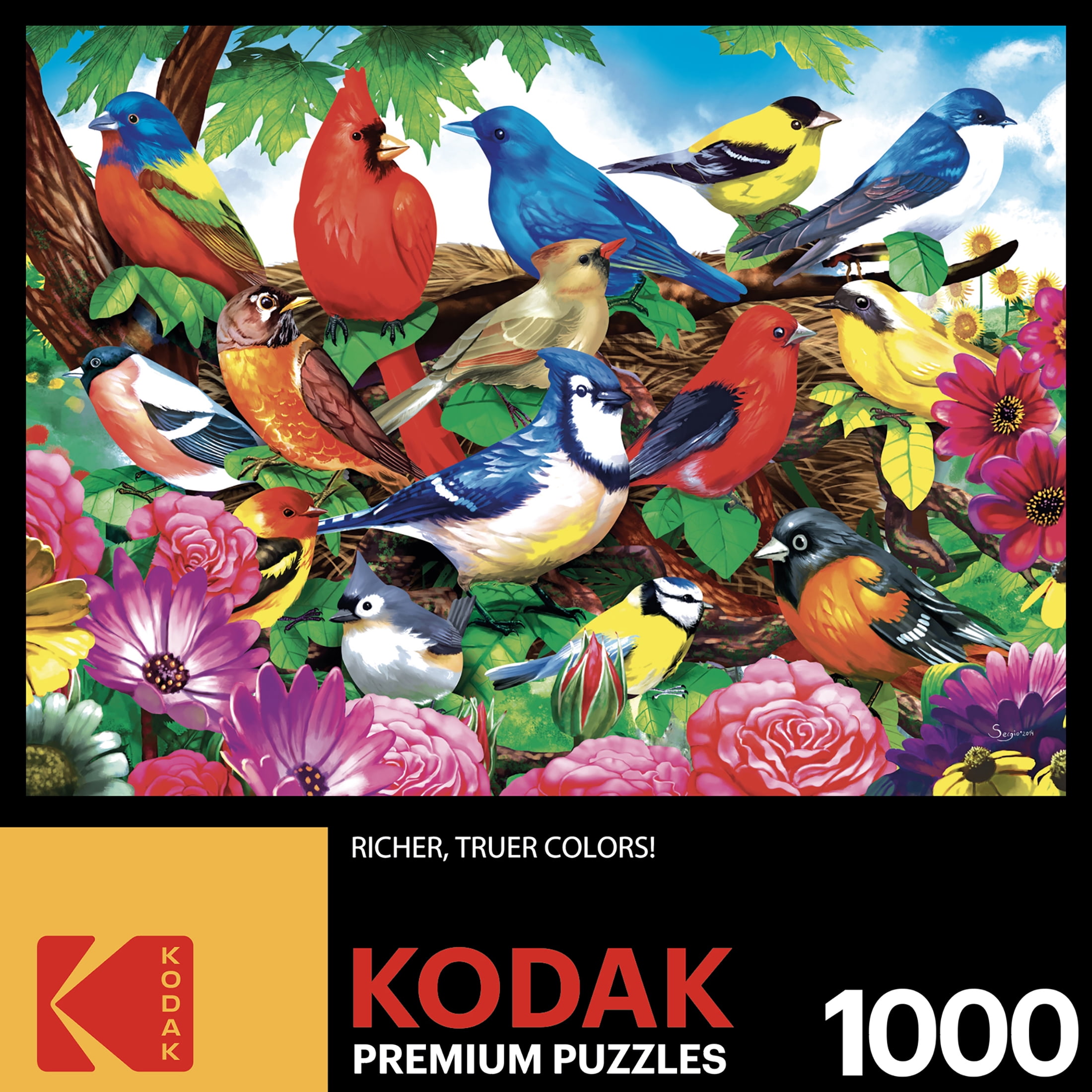 Cra-Z-Art Kodak 1000-Piece Friendly Birds Jigsaw Puzzle - Walmart.com