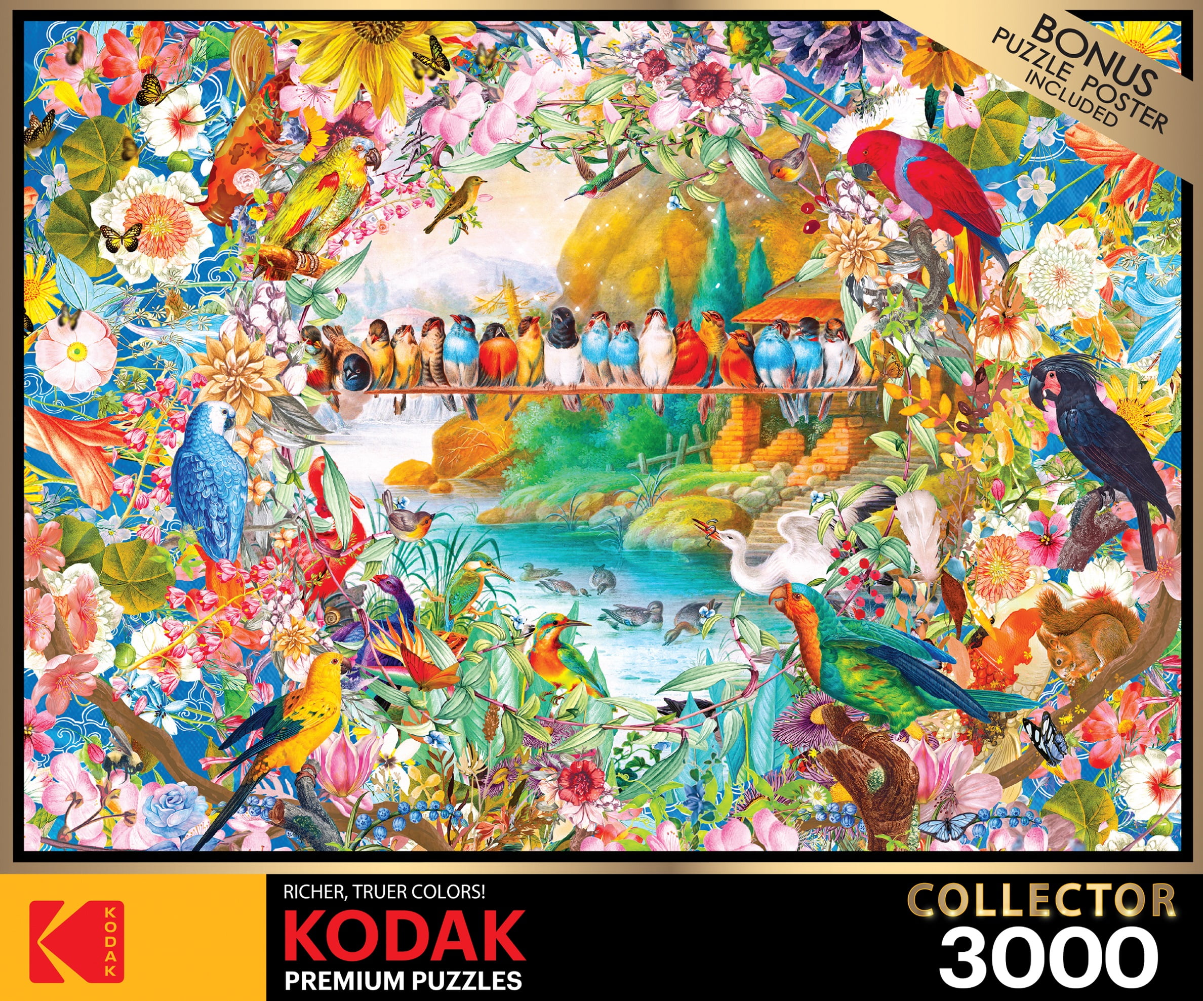 Cra-Z-Art Kodak 3000-Piece Birdsong Adult Jigsaw Puzzle - Walmart.com