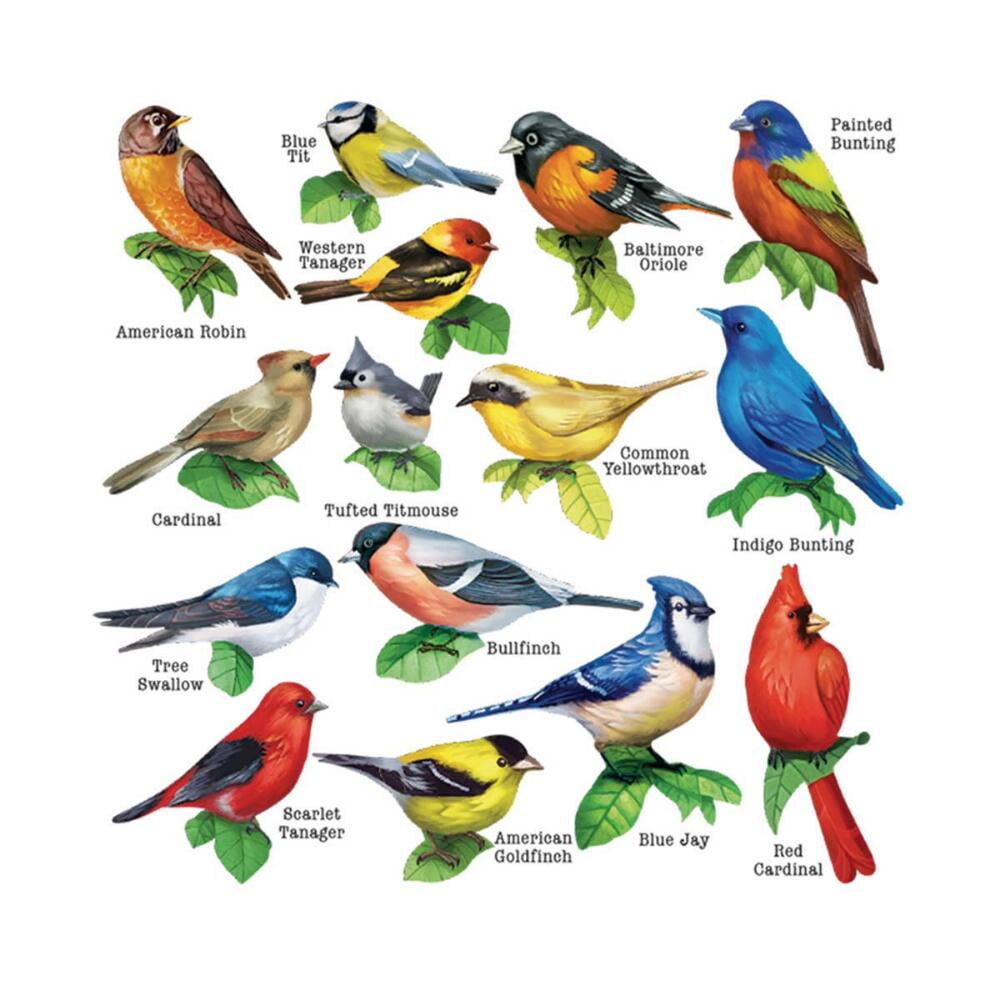 Cra-Z-Art Multi-Shaped 500-Piece Songbirds II Jigsaw Puzzle - Walmart.com