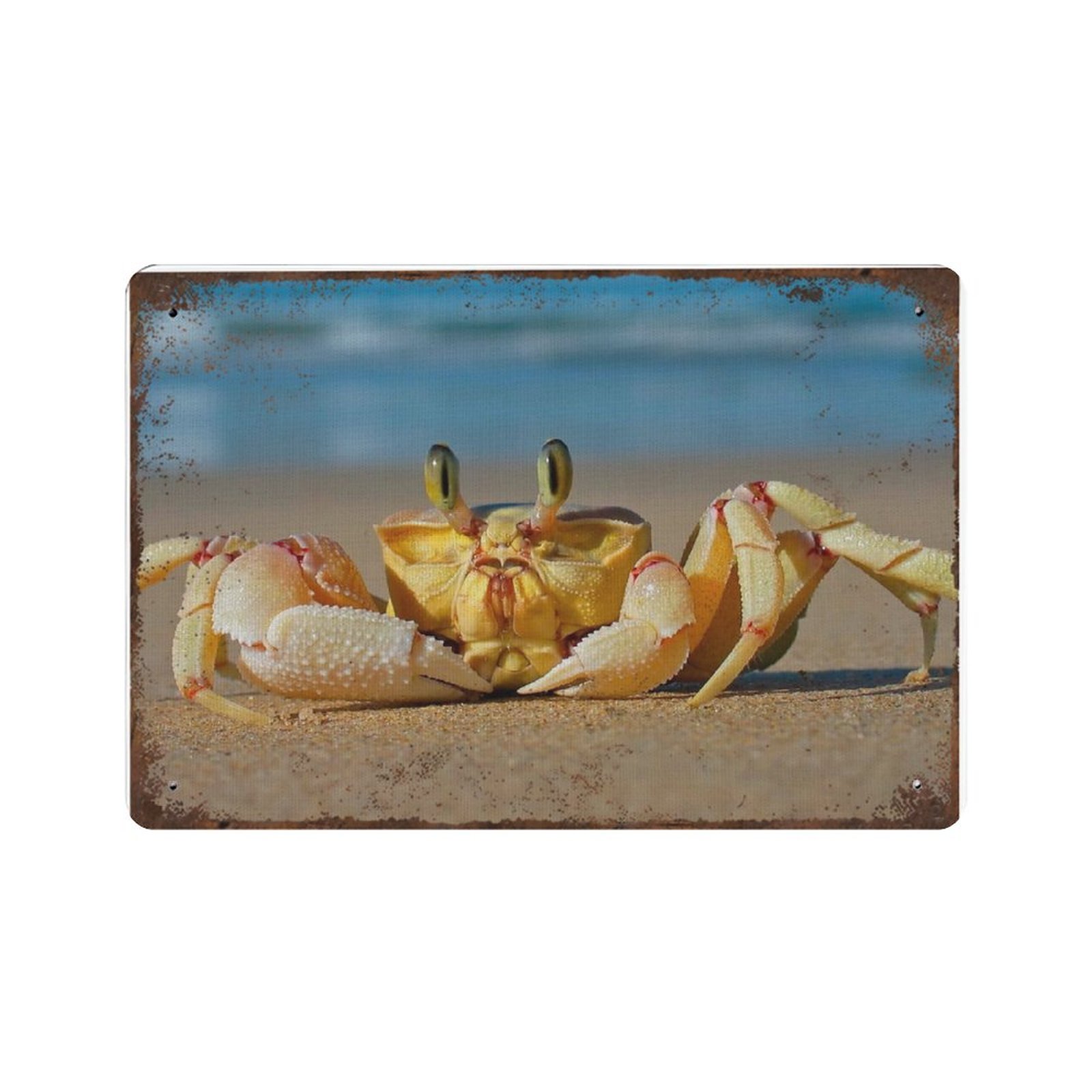 Crab Beach Sand Animals Wall Art Design tin sign Print Decor for Home ...