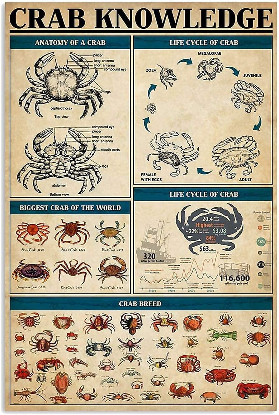 Crab Knowledge Posters Science Guide Metal Signs Retro Plaque Room Club ...