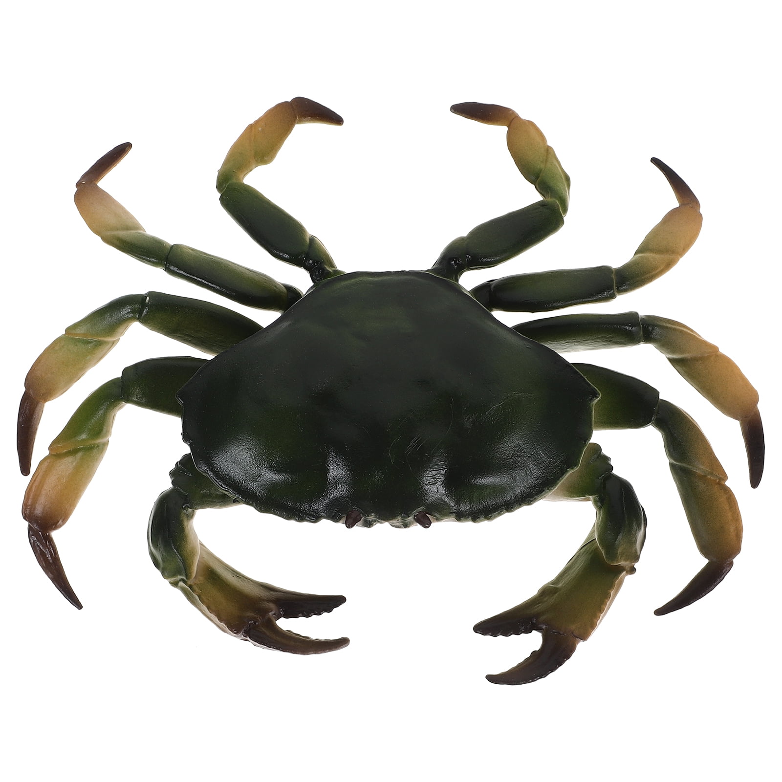 Crab Model Miniature Sea Creatures Sculpture Simulation Child Olive ...