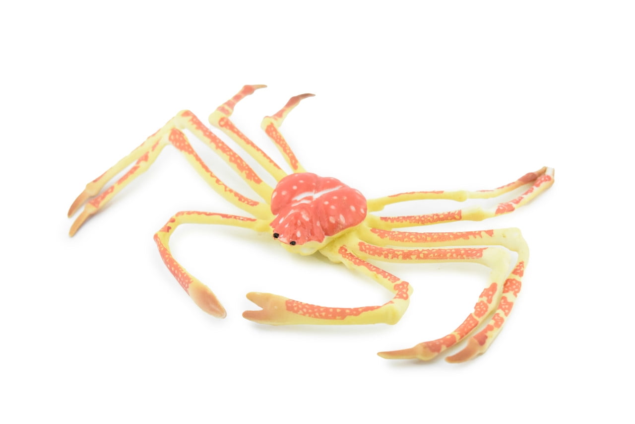 Crab, Spider Crab, Museum Quality, Hand Painted, Rubber Crustaceans ...