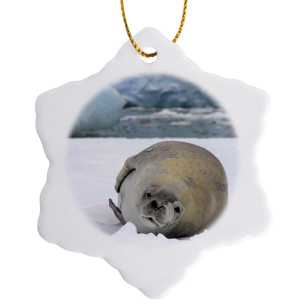 Crabeater Seal, Saltwater Pan Of Sea Ice, Antarctica-An02 Ska0365 ...