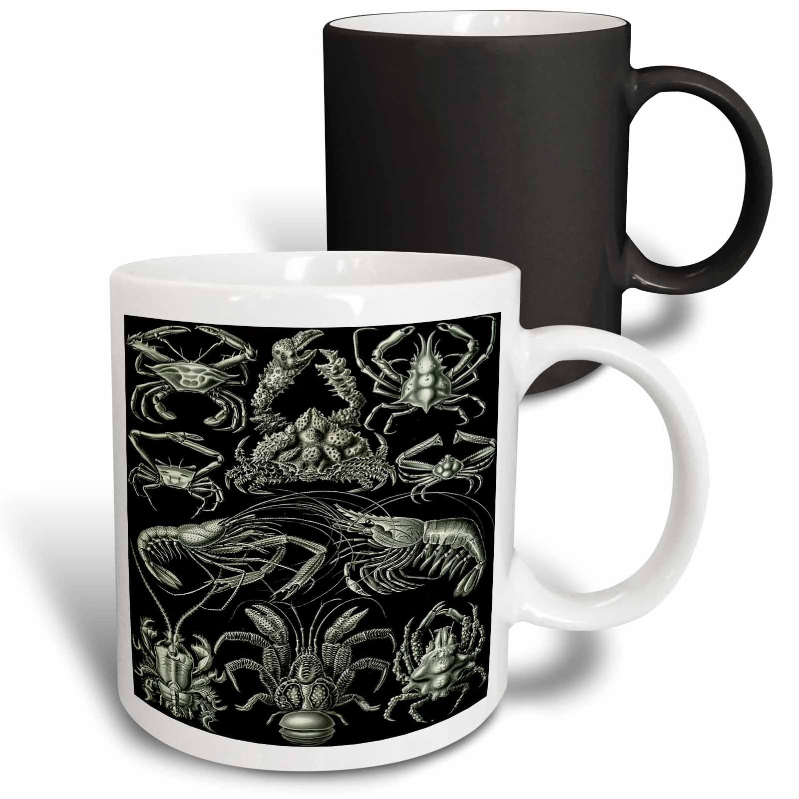 3drose, Crabs Lobster Crawfish Sketch from Famous 1800s Biologist, 11oz ...