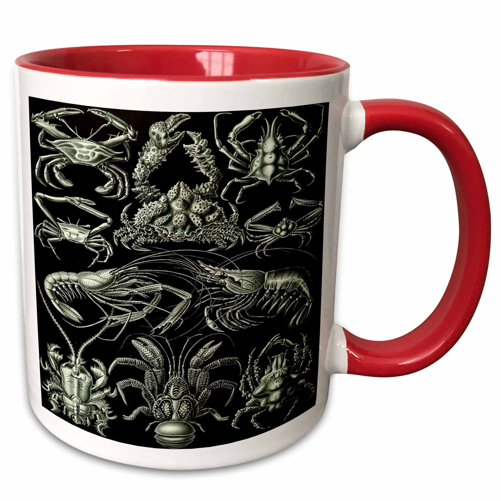 Crabs Lobster Crawfish Sketch From Famous 1800s Biologist 15oz Two-Tone ...