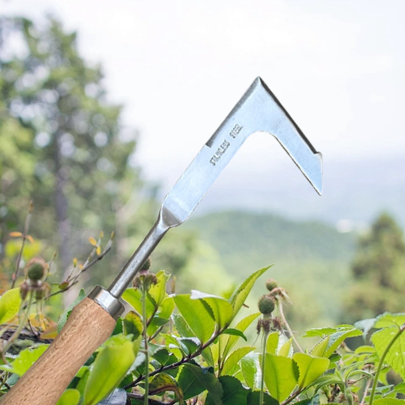 Crack Weeder, Crevice Weeding Tool, 11.8" Stainless Steel Manual Weeder ...