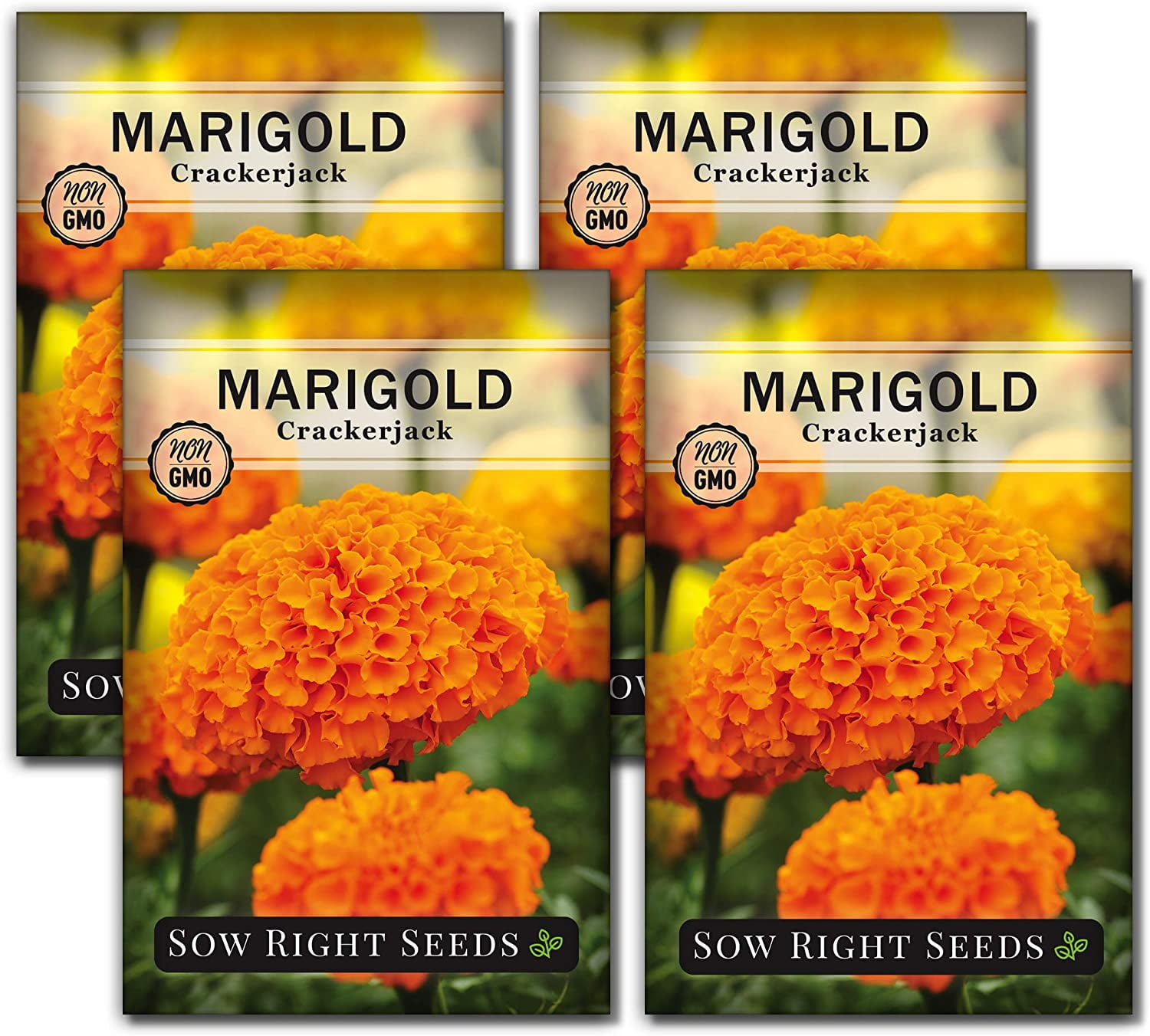 Crackerjack African Marigold Seeds for Planting - Non-GMO Heirloom Seed ...