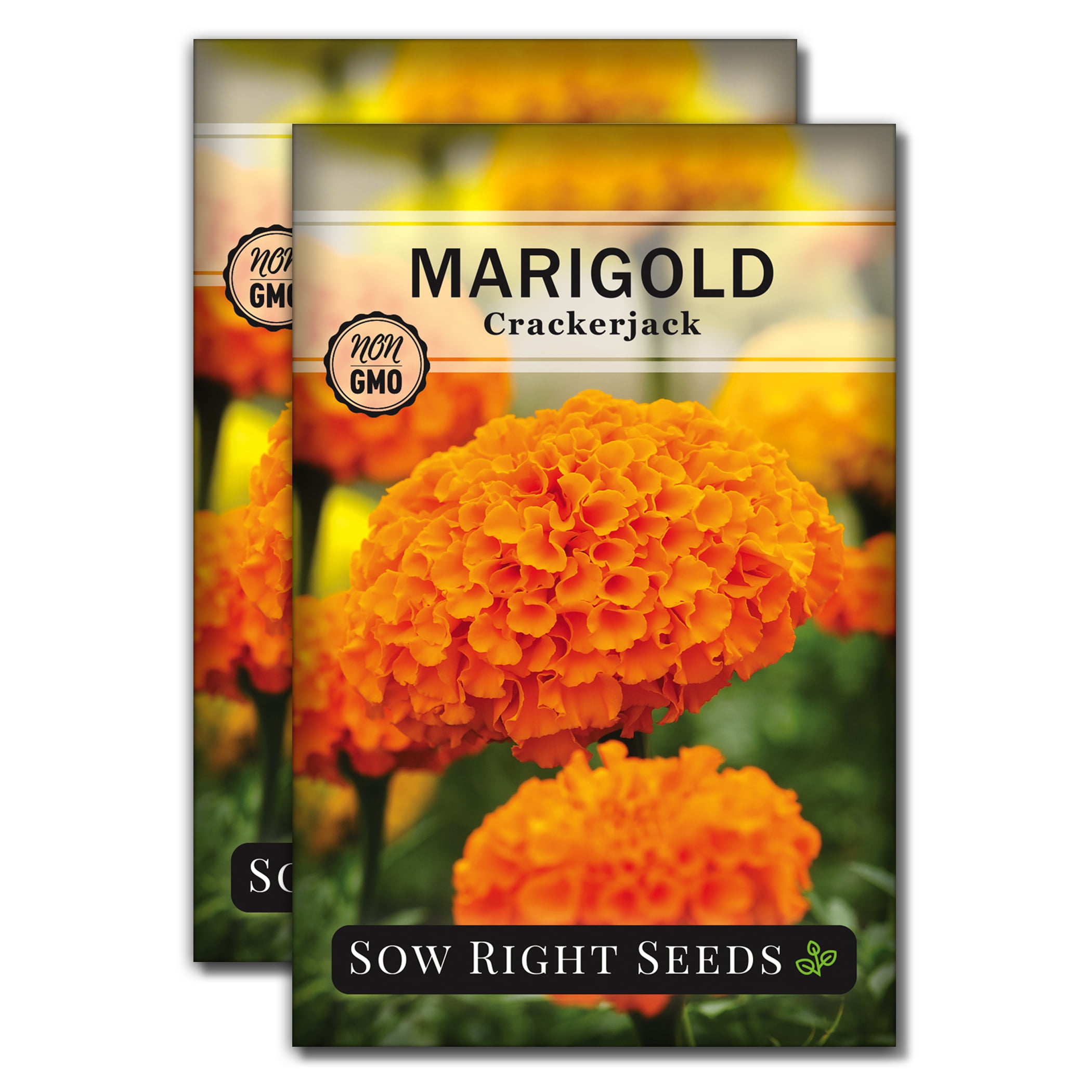 Crackerjack African Marigold Seeds - Non GMO Heirloom Varieties for ...