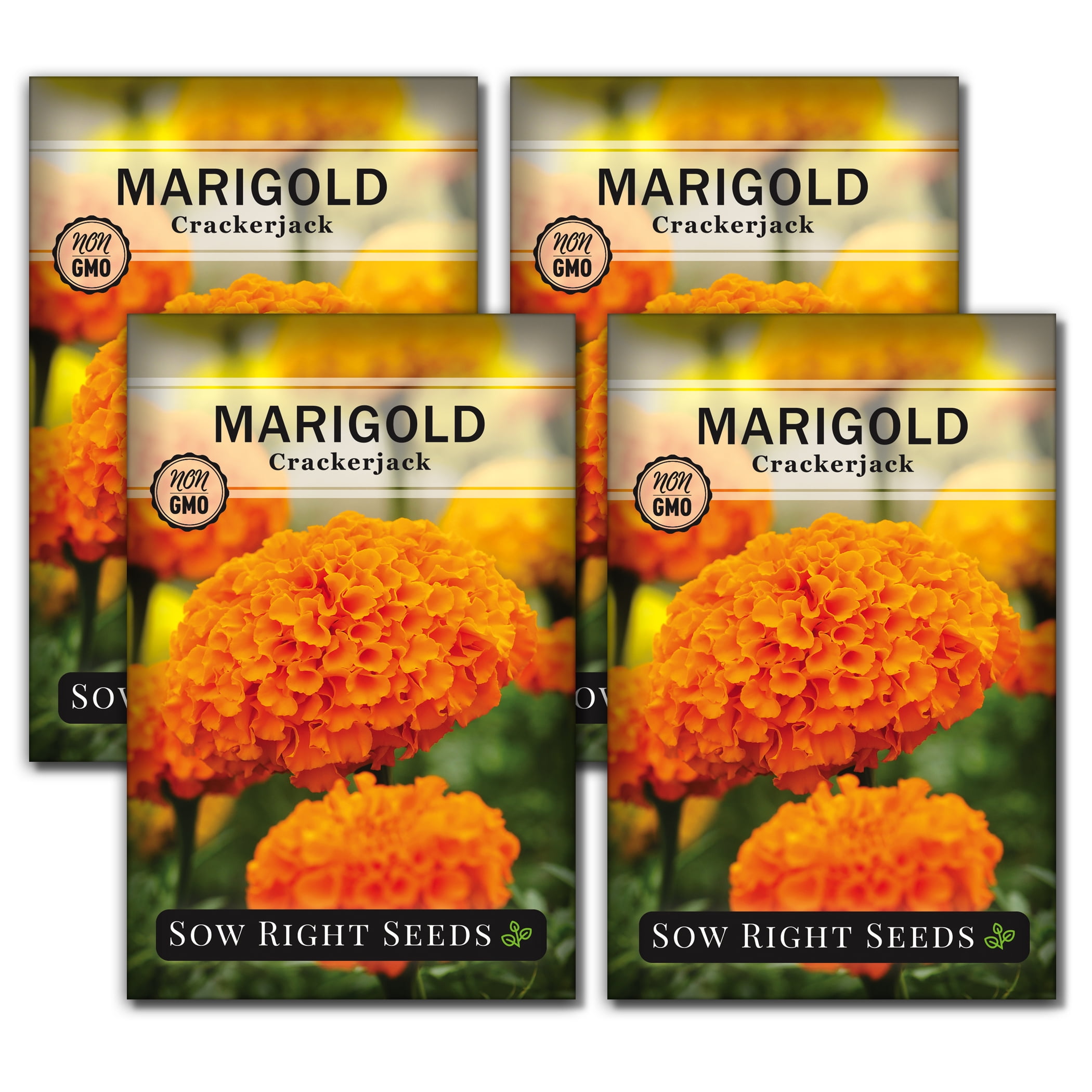 Crackerjack Marigold Seeds - Non GMO Heirloom Varieties for your Flower ...