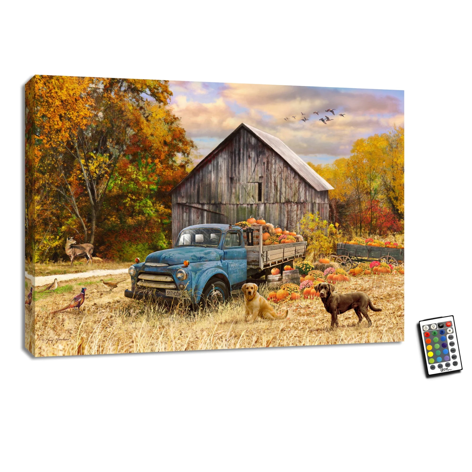 Crafted Creations Fall Harvest Print Wall Art with Remote Control - 18 ...